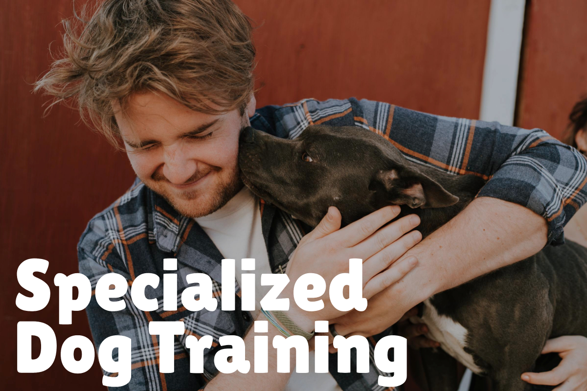 Dog Training Classes: What to Know & How to Choose the Right One