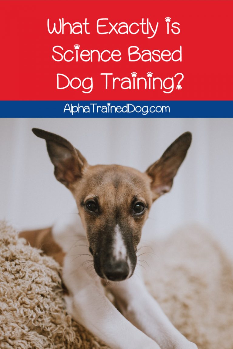 What Is Science Based Dog Training? - Alpha Trained Dog