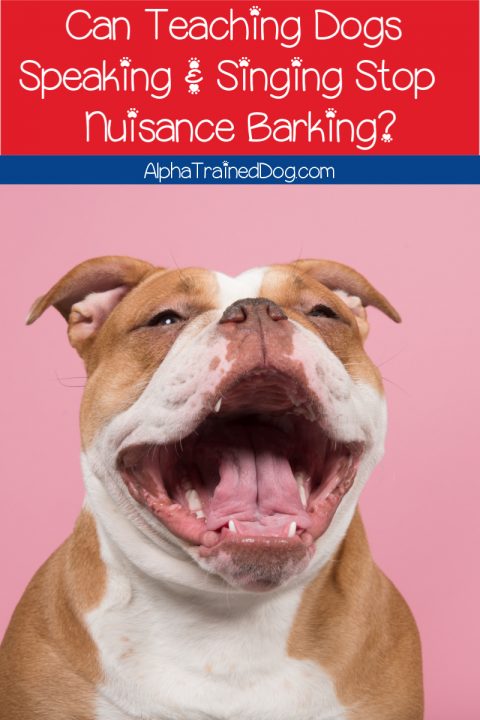 Can Speaking And Singing Stop A Nuisance Barker? - Alpha Trained Dog