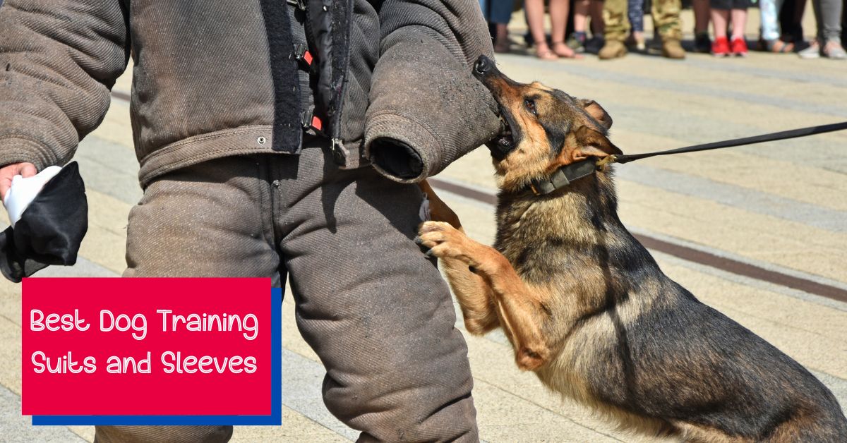 5 Best Padded Arm Sleeves & Suits for Dog Training - Alpha Trained Dog