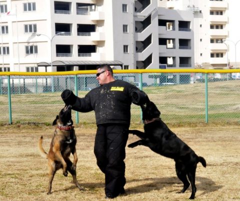 5 Best Padded Arm Sleeves & Suits for Dog Training - Alpha Trained Dog